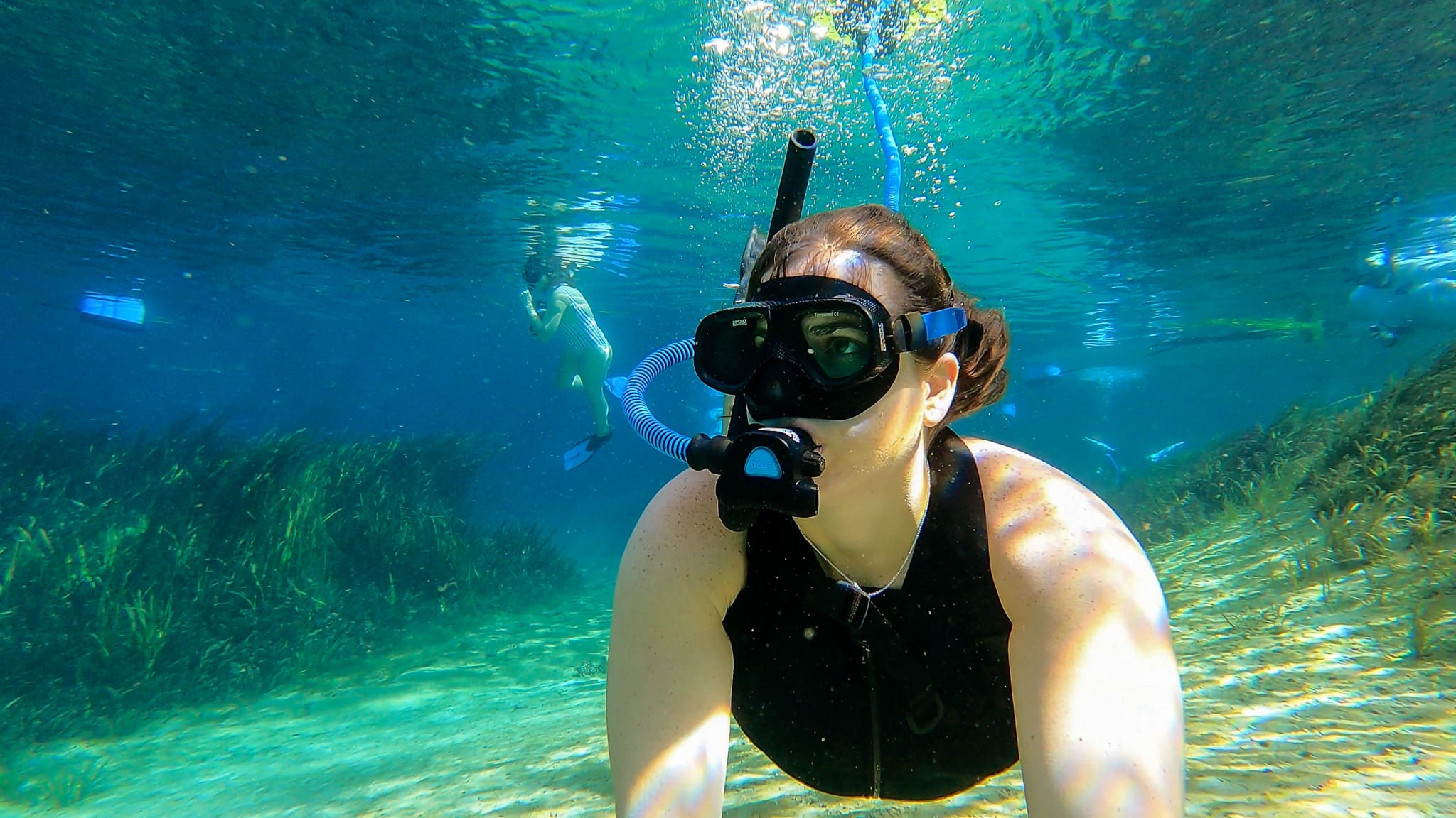 BLU3 Nomad: Tankless Diving Adventures on the Rainbow River